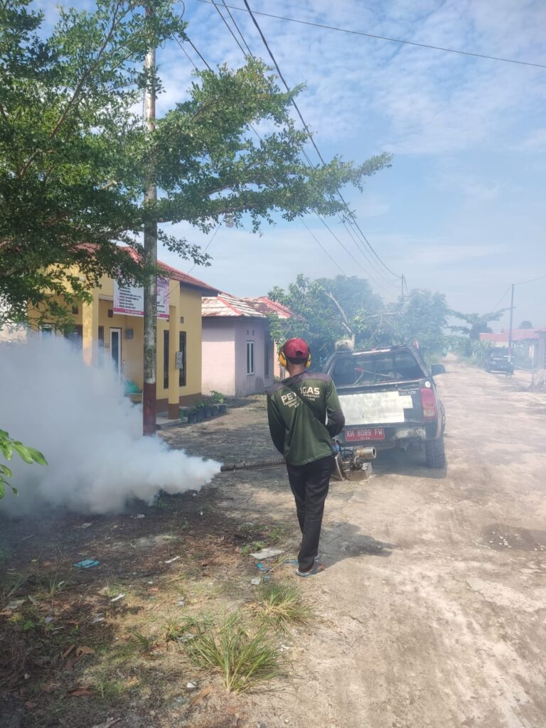 WASPADA DEMAM BERDARAH DENGAN MELAKUKAN 3M PLUS APA SAJA ITU - DINAS ...